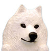 Samoyed Items – Michael Park, Woodcarver